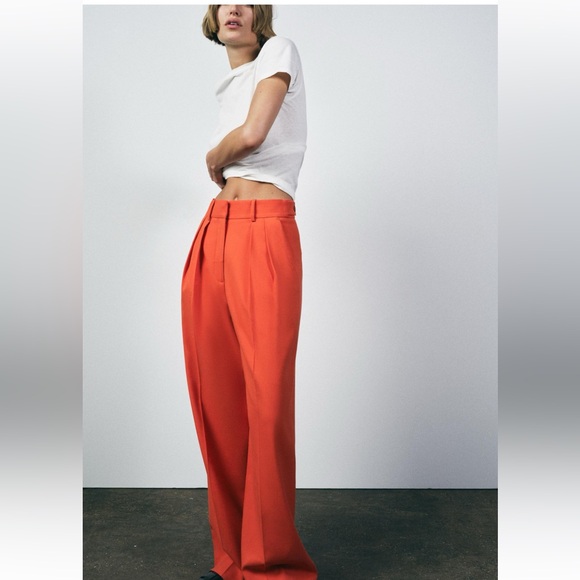 Zara | Pants & Jumpsuits | Zara Pleated Pants Zw Collection | Poshmark